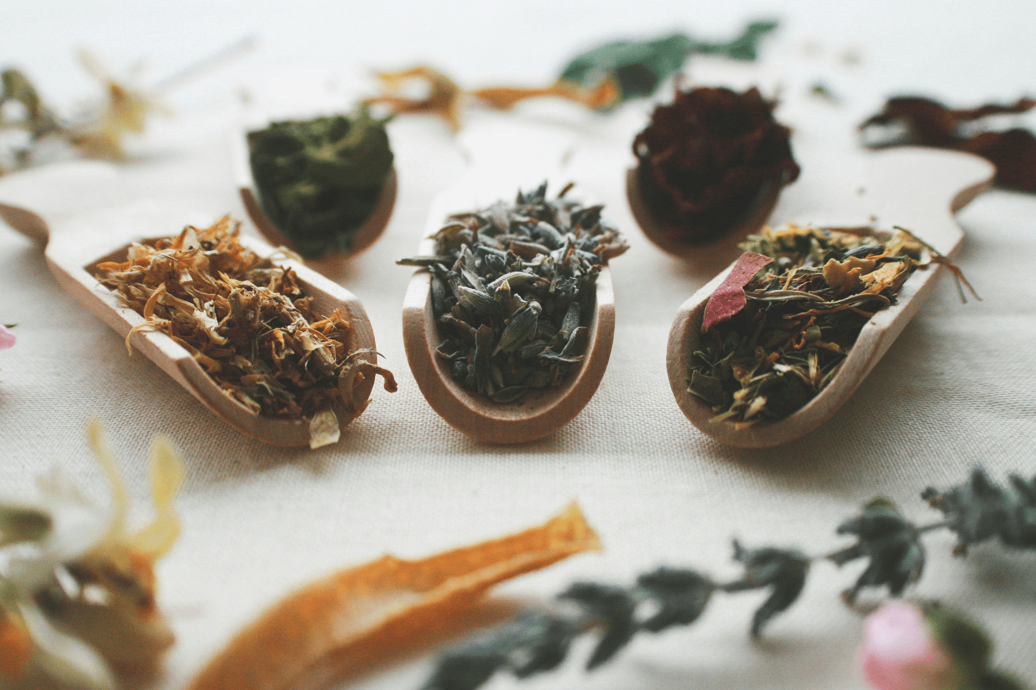 Period Health: Learn About 5 Tea Herbs for PMS and Peri...